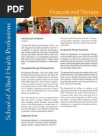 AOTA-Occupational-Profile-Template.pdf | Occupational Therapy | Health ...