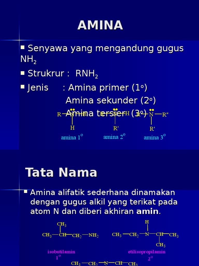 Amina (Kimia Organik) | PDF