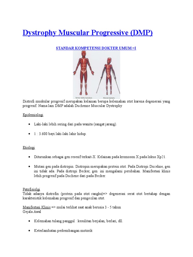 Dystrophy Muscular Progressive | PDF