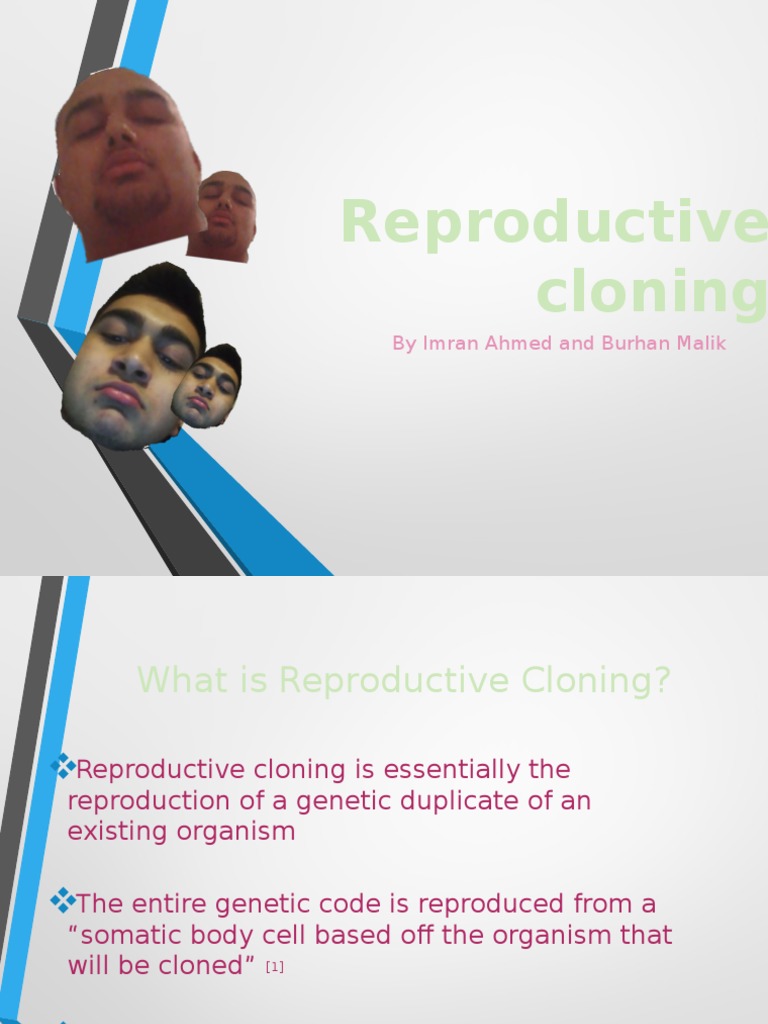 Reproductive Cloning Explained | PDF | Cloning | Reproduction