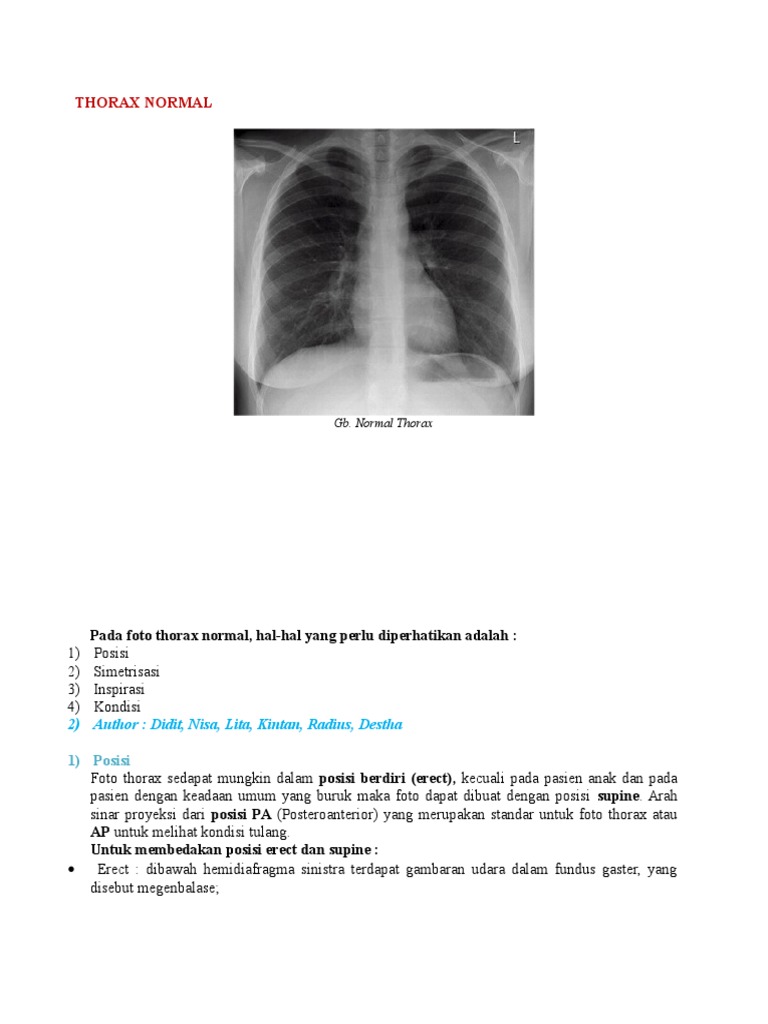 Thorax Normal | PDF