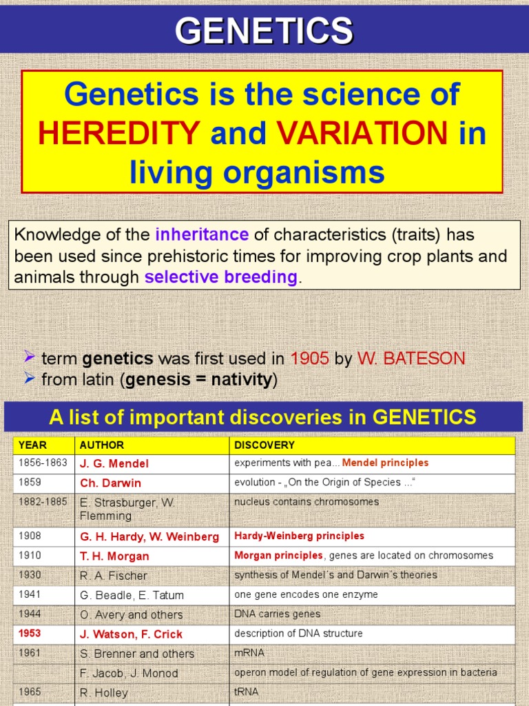 Inheritance Mendel | PDF | Dominance (Genetics) | Zygosity