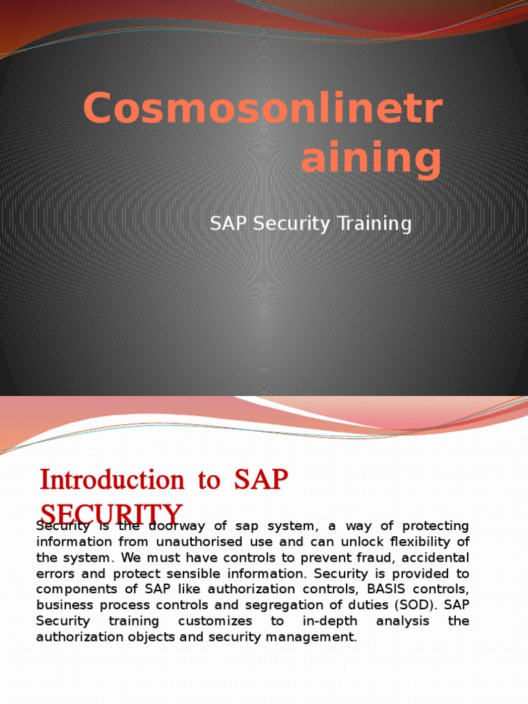 SAP Security Training Overview | PDF