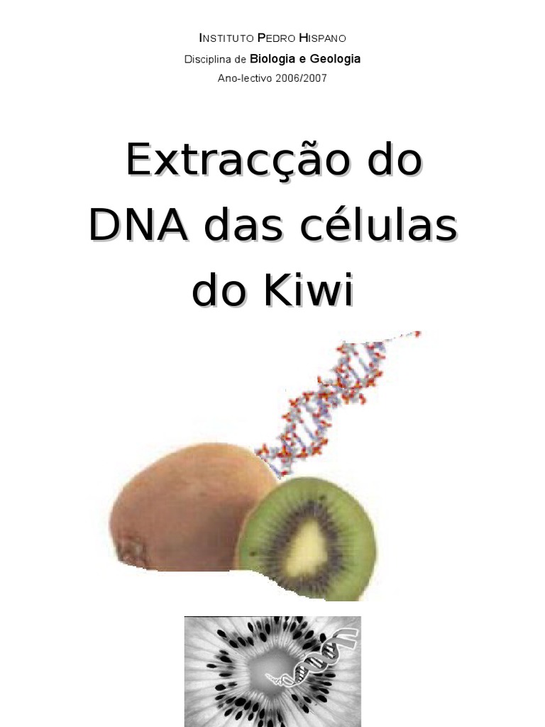 Extracção Do DNA Das Células Do Kiwi | DNA | Célula (Biologia)