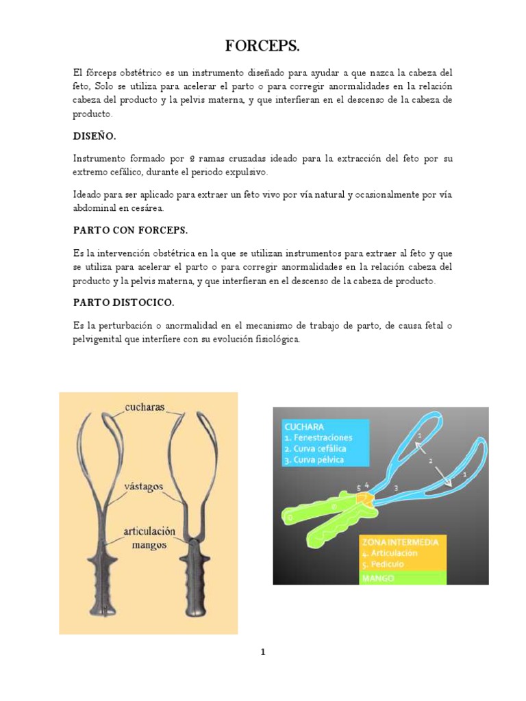 Forceps | PDF | Pelvis | Parto