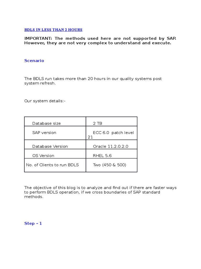 Accelerating BDLS Conversion in SAP | PDF | Database Index | Computer Data