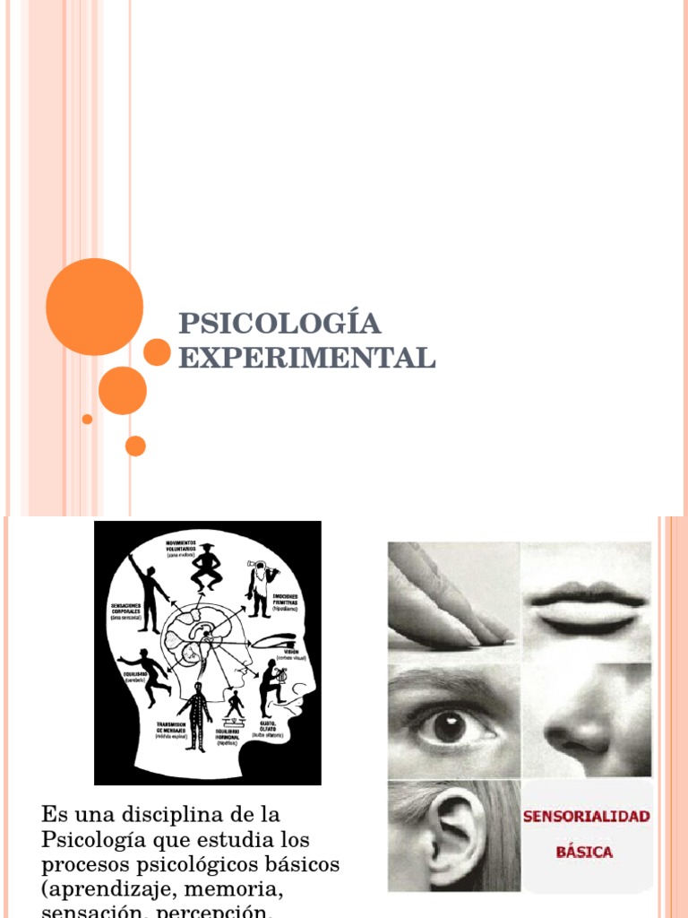Psicología Experimental | PDF