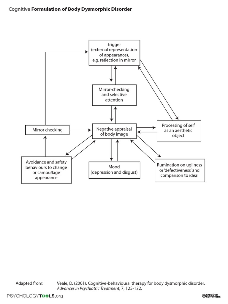 BDD Formulation Veale2001 | PDF