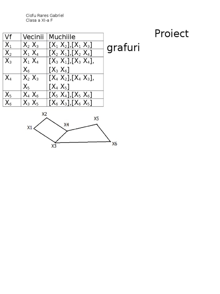 Grafuri Proiect Clasa XI F | PDF