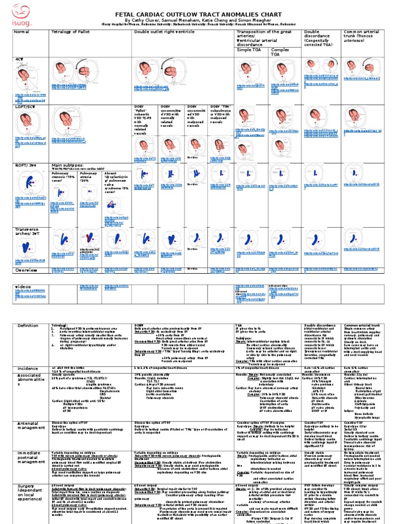 Cardiac Outflow Tract Table | PDF | Cardiology | Heart