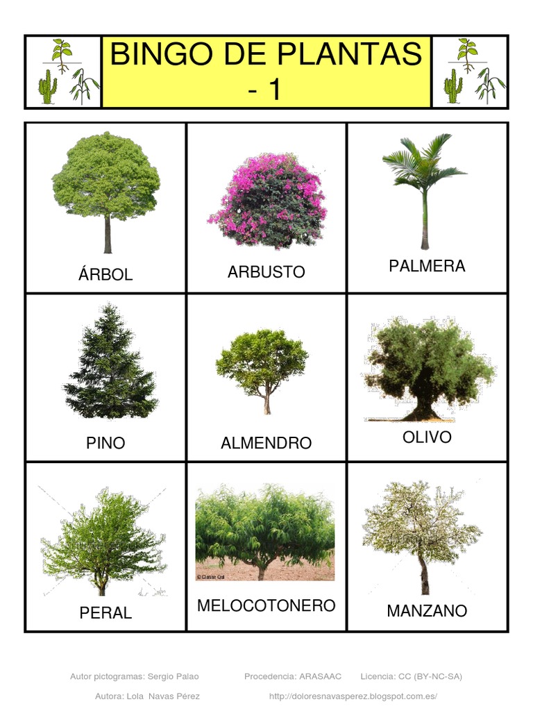 Bingo de Plantas para Imprimir | PDF
