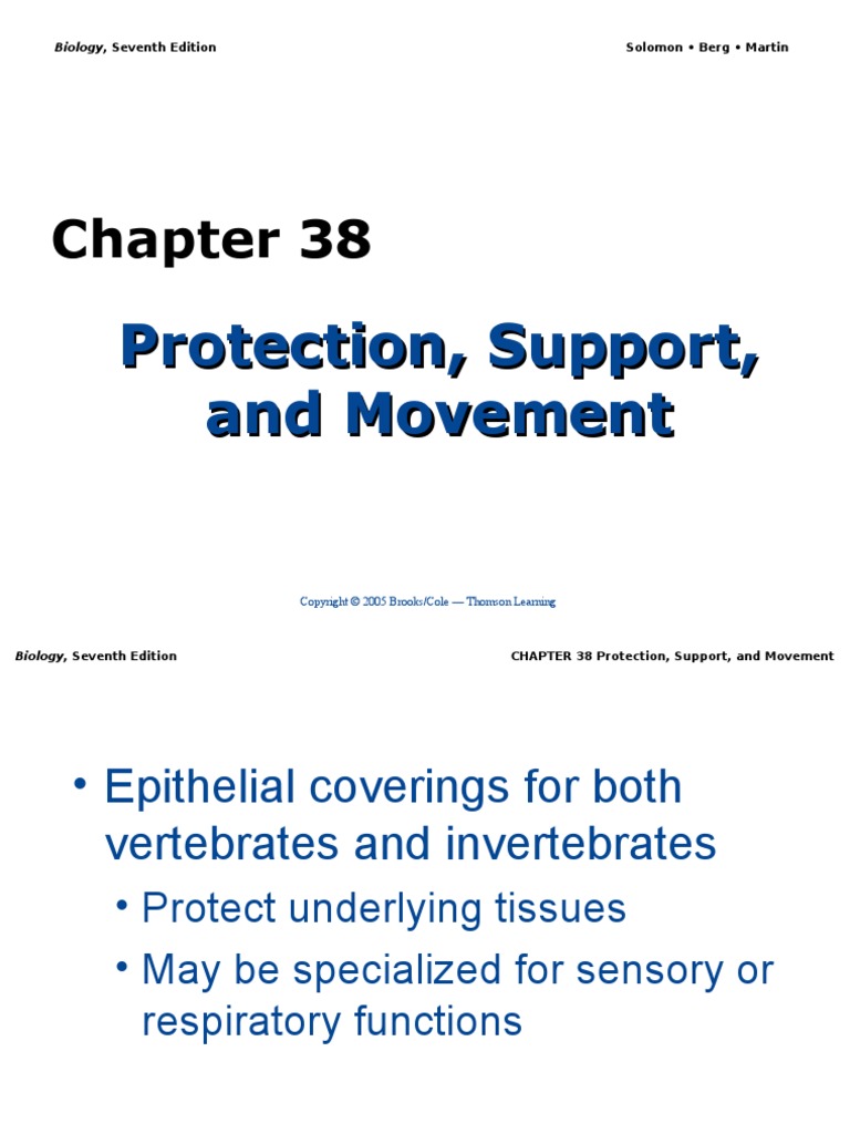 Ch38 - Lecture Protection, Support, Movement | PDF | Bone | Skeleton