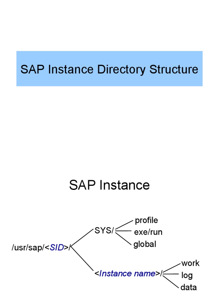 SAP Directory Structure and OS User | PDF
