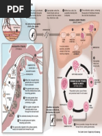 Biochemical Test Chart for Bacteria | PDF | Microbiology | Prokaryote