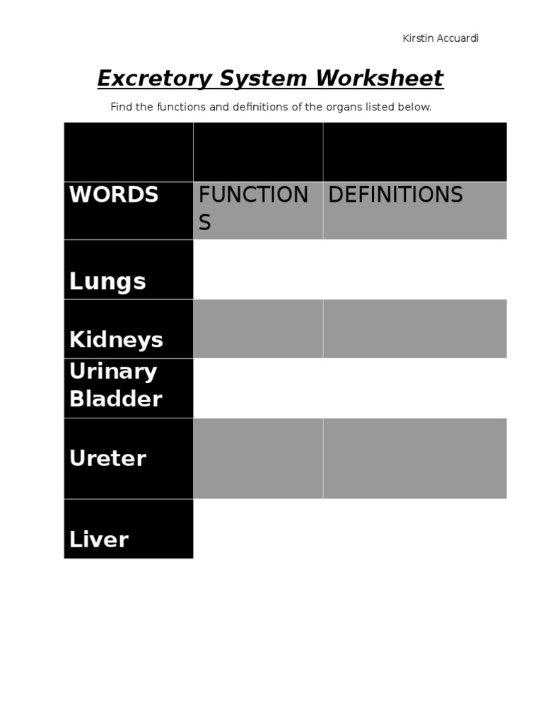 Excretory System Functions Worksheet | PDF