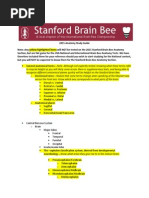 Brain Bee Study Questions | PDF | Stimulus (Physiology) | Neurotransmitter
