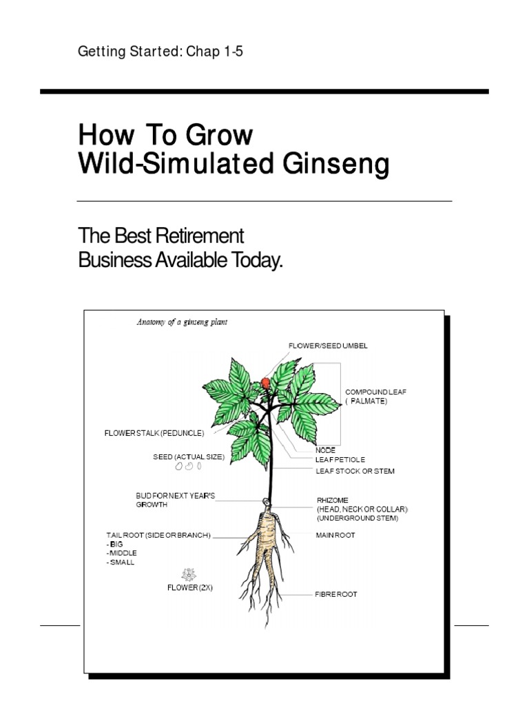 Growing Wild Ginseng | PDF | Tillage | Soil