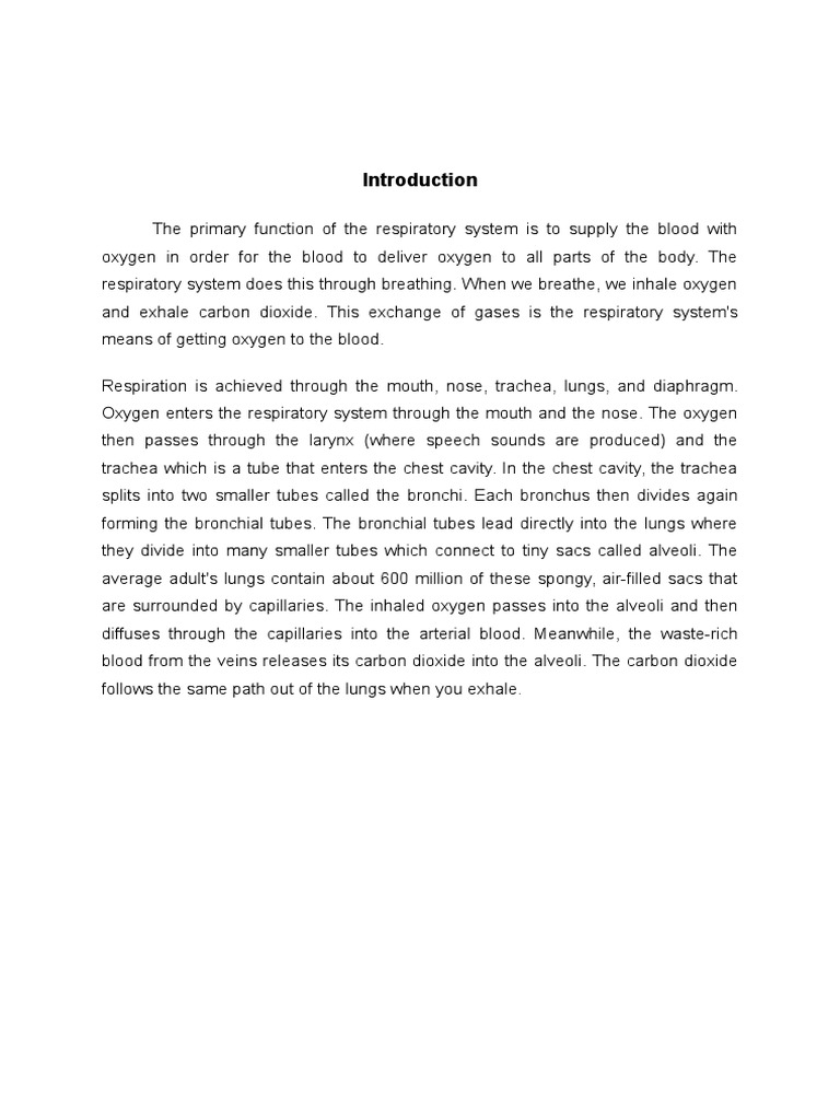 Respiratory System Overview for Kids | PDF | Respiratory Tract | Lung