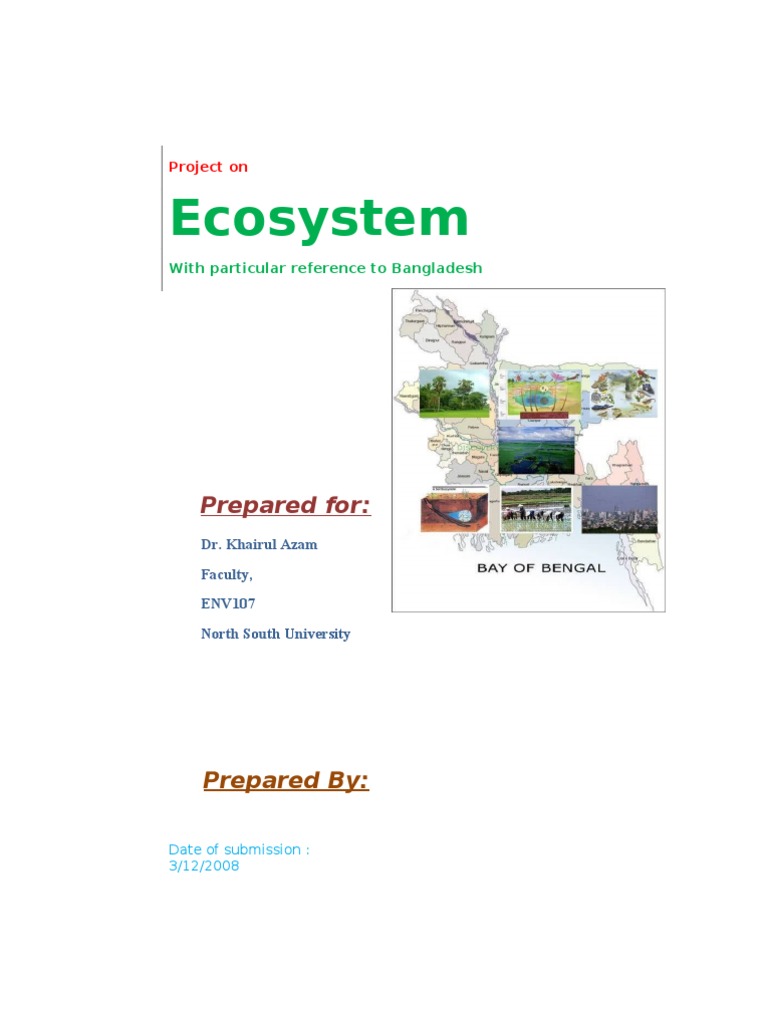 Project On Ecosystem | PDF | Ecosystem | Organic Matter