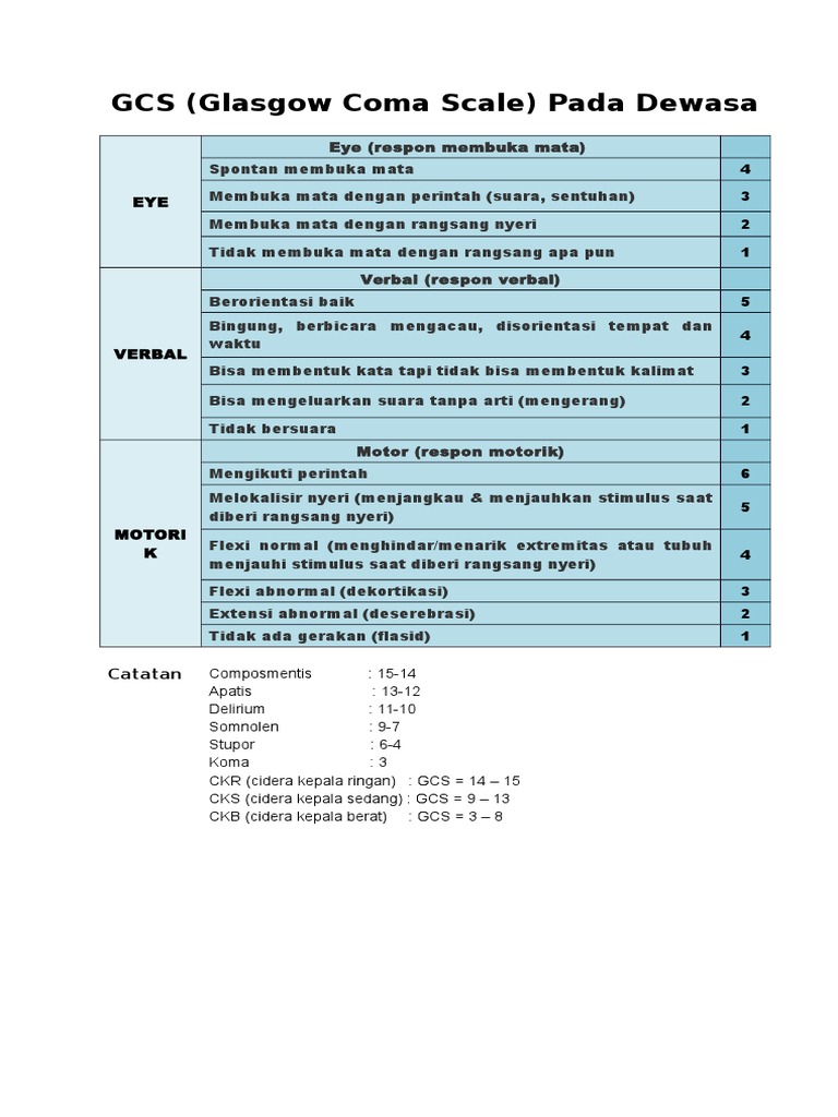 Cara Mengetahui Skor GCS Pada Dewasa Dan Anak | PDF