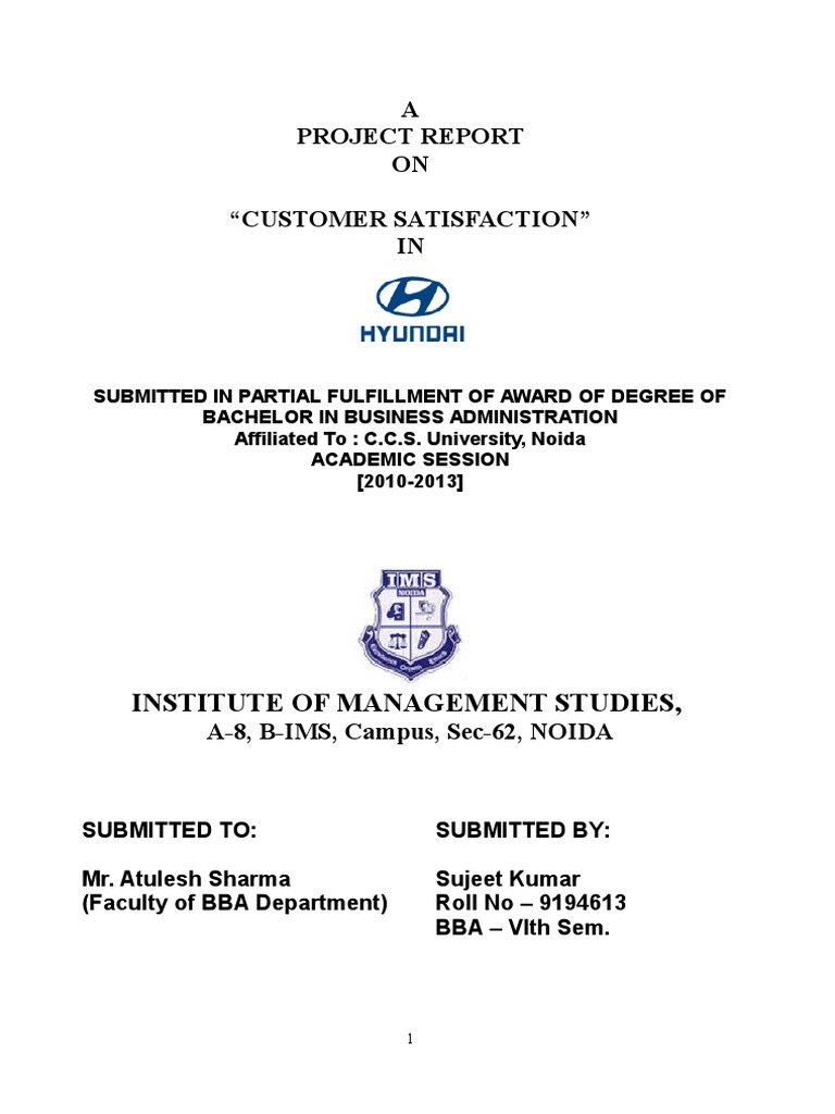 Hyundai Customer Satisfaction Analysis | PDF