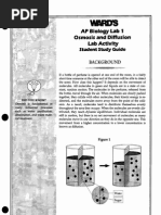 Amoeba Sisters Osmosis Recap Guide | PDF | Osmosis | Cell Biology