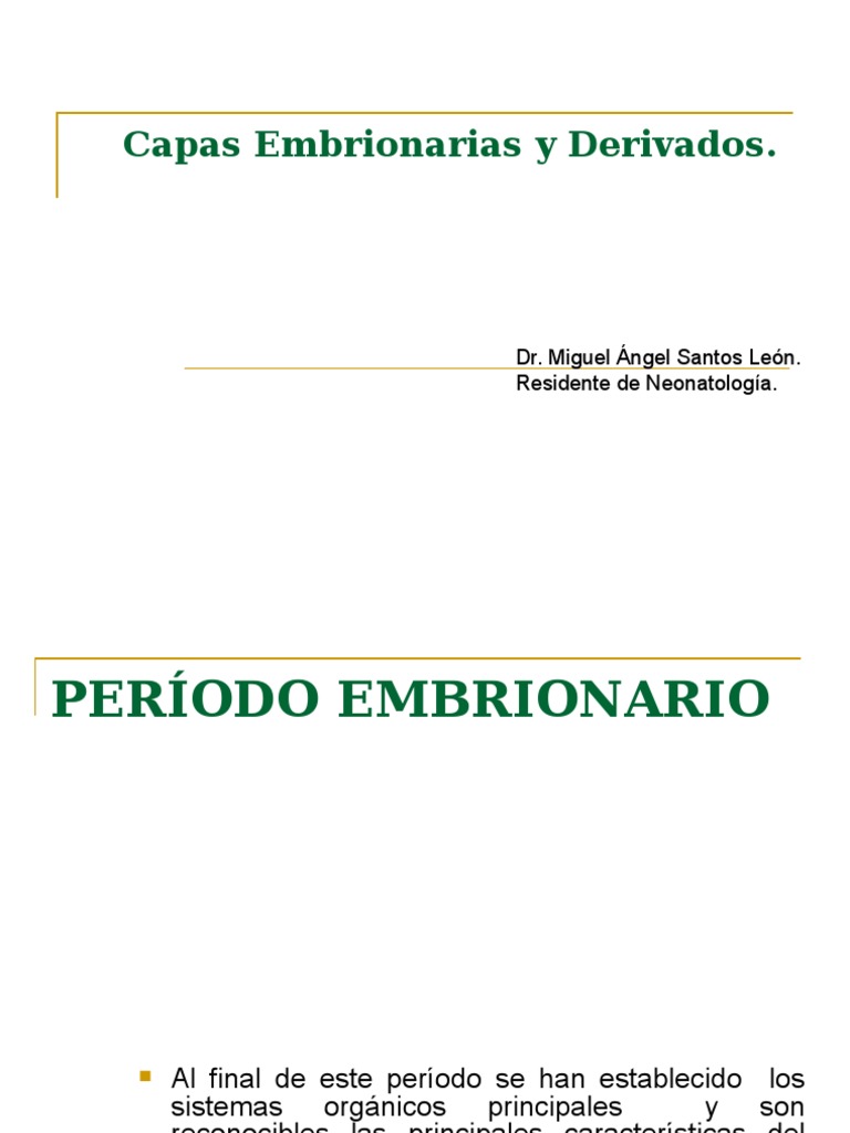 Capas Embrionarias y Derivados | PDF | Sistema digestivo humano ...