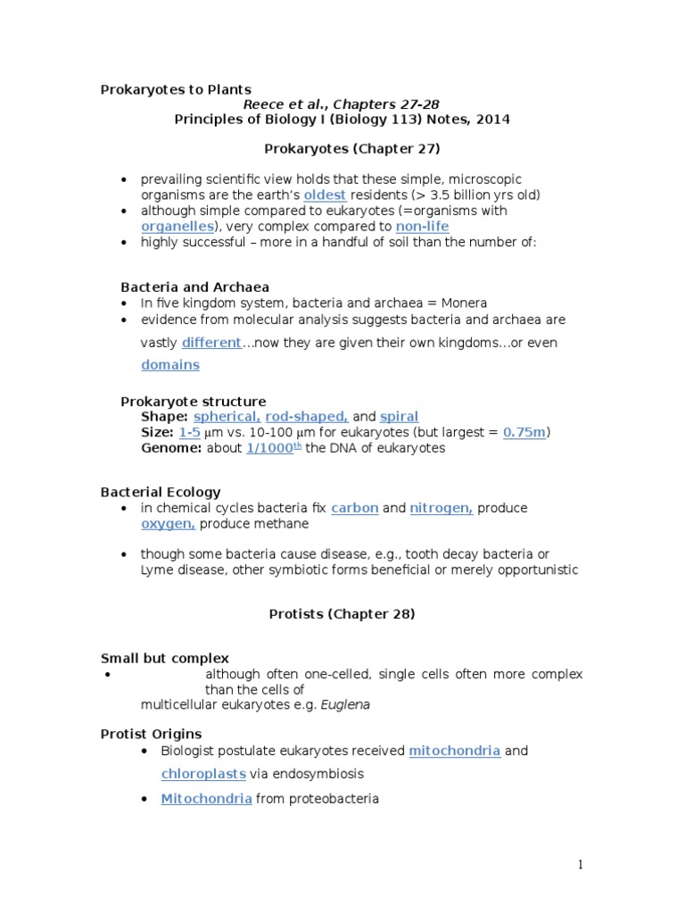9 - Prokaryotes To Protists Notes | PDF | Prokaryote | Eukaryotes