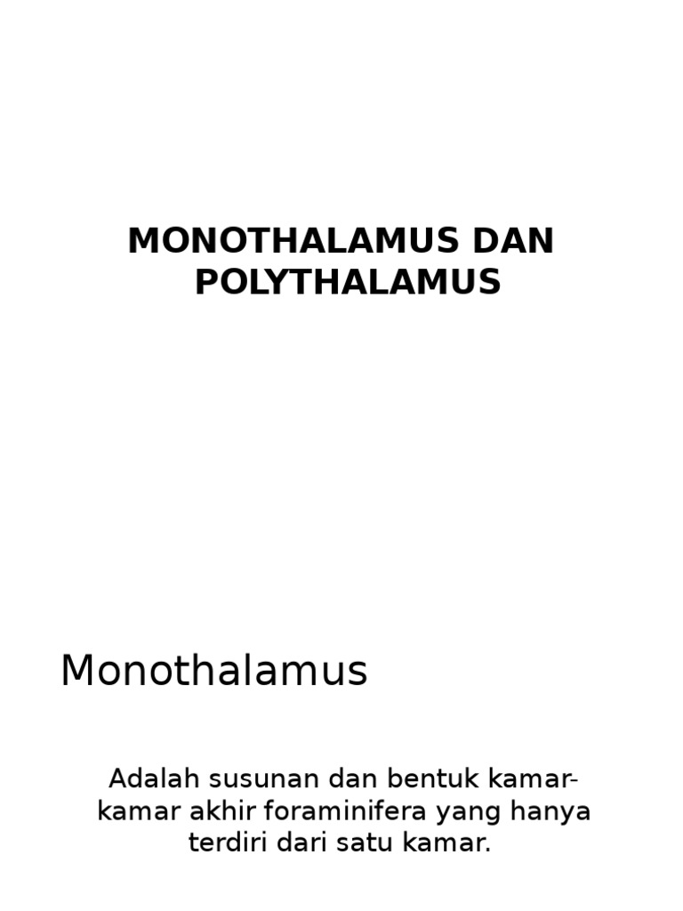 Presentation 1 | PDF