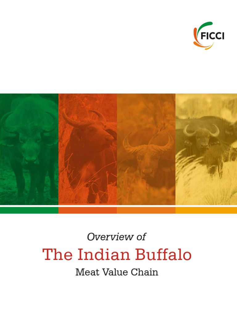 Overview of the Indian Buffalo Meat Value Chain | Livestock | Meat