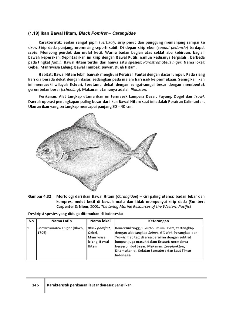 4D - 1 Ikan Hasil Tangkap 2 | PDF
