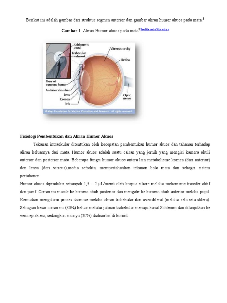Gambar 1. Aliran Humor Akuos Pada Mata: Read The Rest of This Entry ...