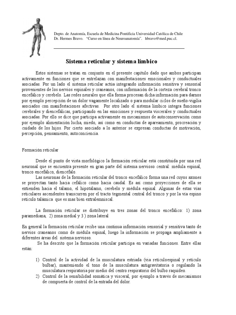 Formación Reticular Y Sistema Limbico Pdf Sistema Límbico Tálamo