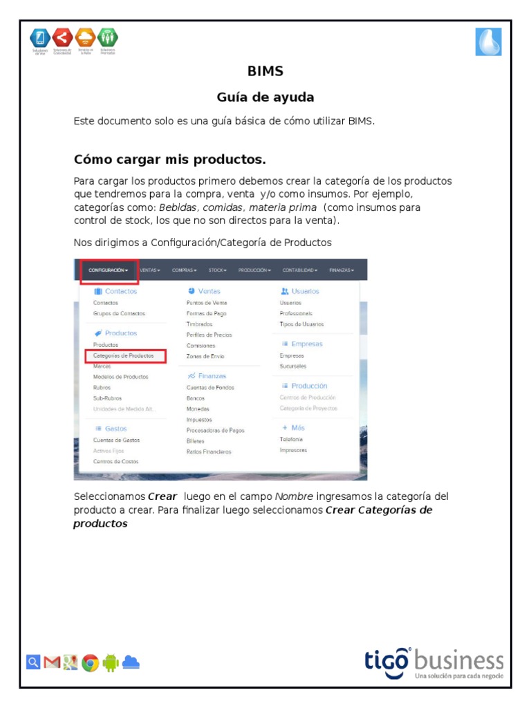BIMS Guía de Ayuda | PDF | Cliente | Información