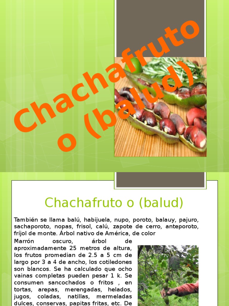 Chachafruto o (Balud) | PDF | Phaseolus Vulgaris | Panes
