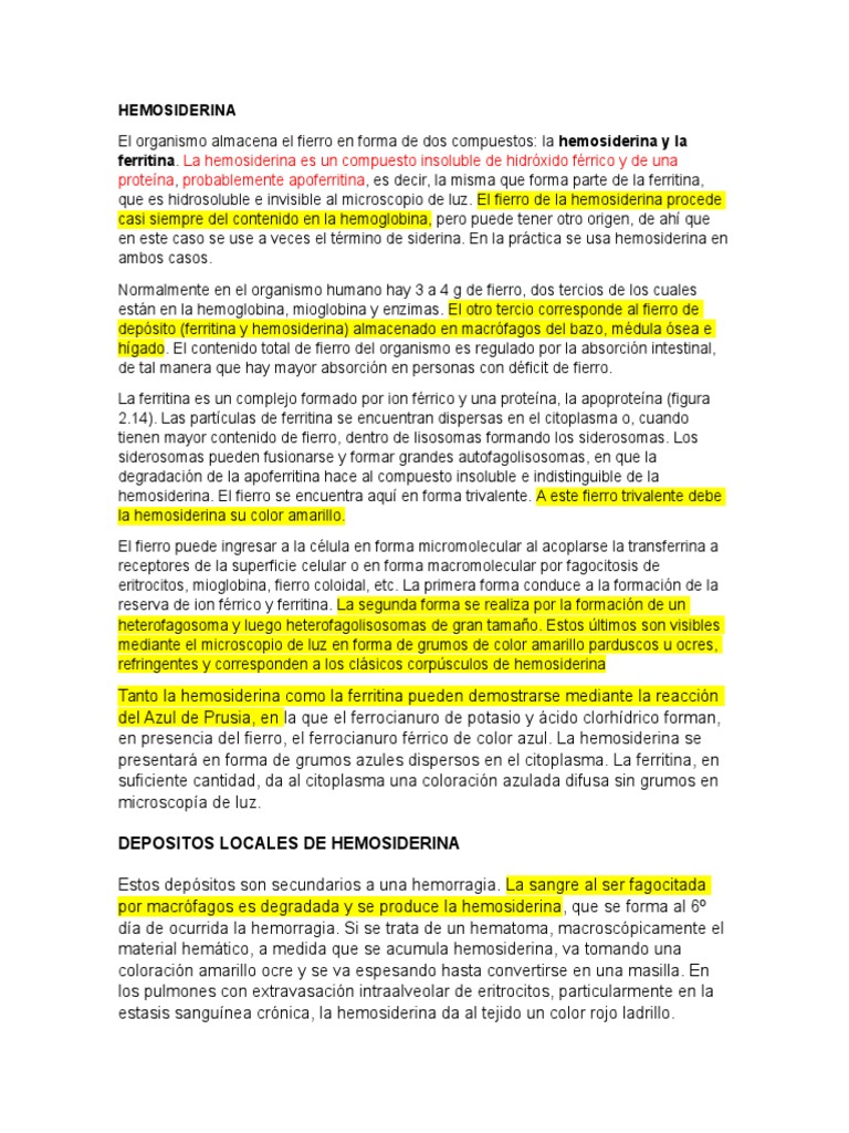 Hemosiderina y Tinción de Perls | PDF | Hierro | Sangre