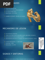 Clasificación y Tratamiento de Fracturas de Escápula | PDF | Hombro ...