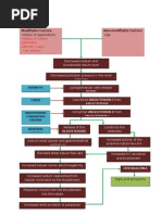 Concept Map Liver Cirrhosisss | PDF | Liver | Cirrhosis