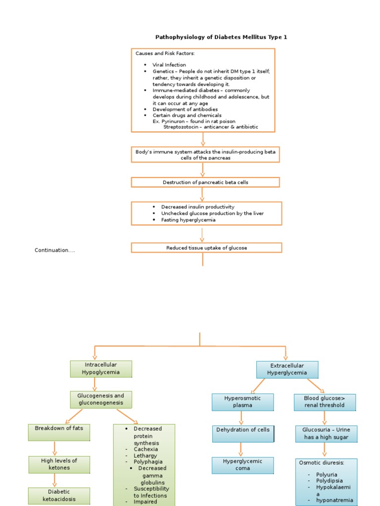 Diabetes Mellitus Type 1 Pathophysiology