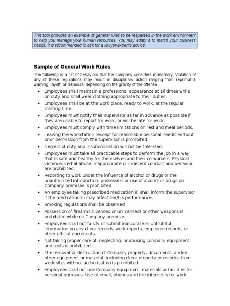 Essential Workplace Conduct Guidelines | PDF | Employment | Government ...