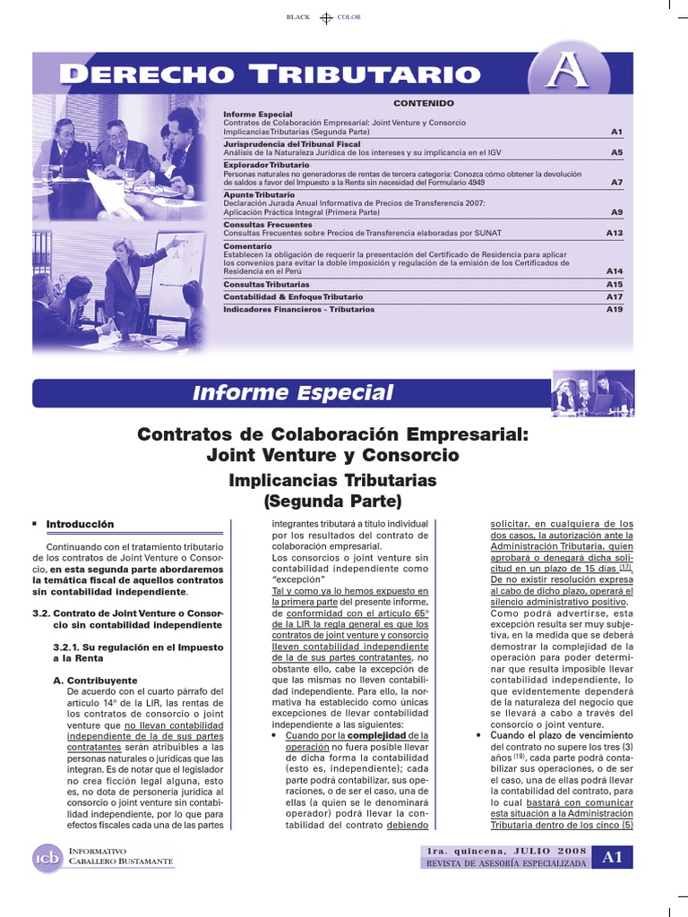 Documentos de Atribucion Consorcios | PDF | Contabilidad | Propiedad