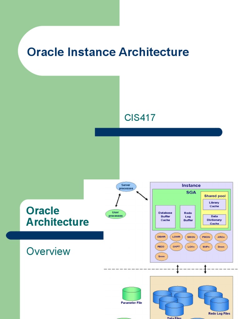 Oracle Instance Architecture | PDF | Oracle Database | Cache (Computing)