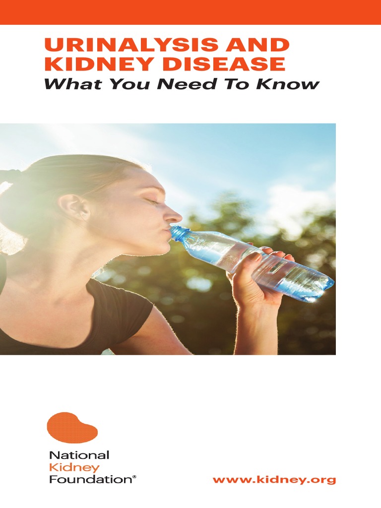 Urinalysis and Kidney Disease: What You Need To Know | PDF | Chronic ...