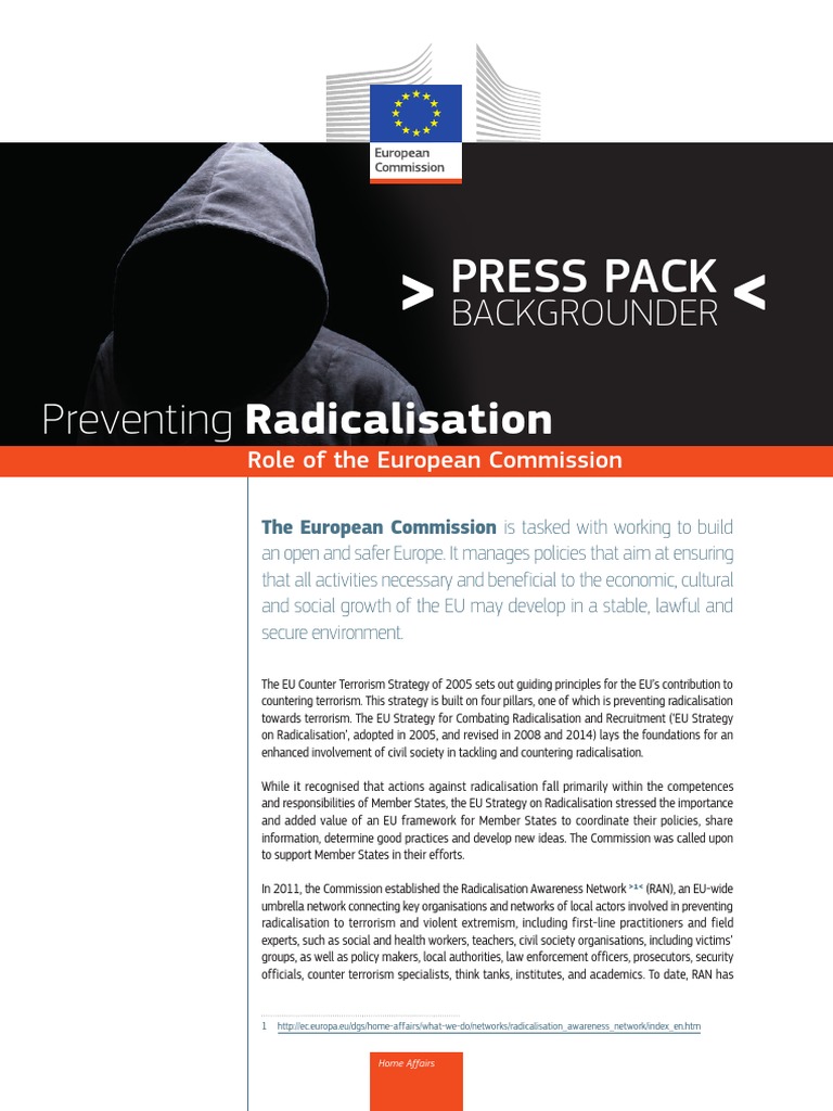 EU Strategies Against Radicalisation | PDF | Counter Terrorism ...