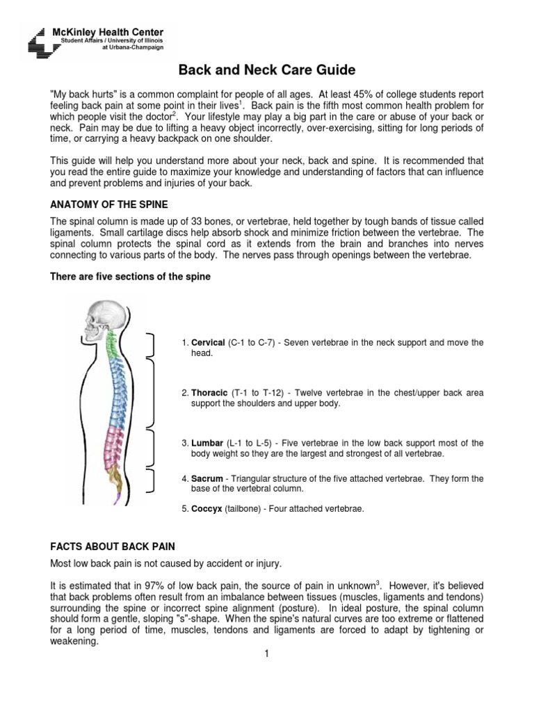 Back and Neck Care Guide | PDF