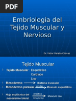 Origen Embrionario de los Tejidos Humanos | PDF | Embrión | Biología ...