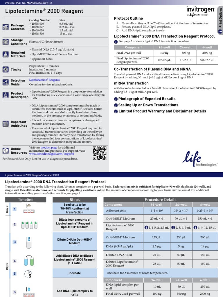 Lipofectamine 2000 Reag Protocol | Transfection | Cell (Biology)