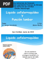 Ginecologia y Obstetricia - Planos de Hodge y de Lee | PDF