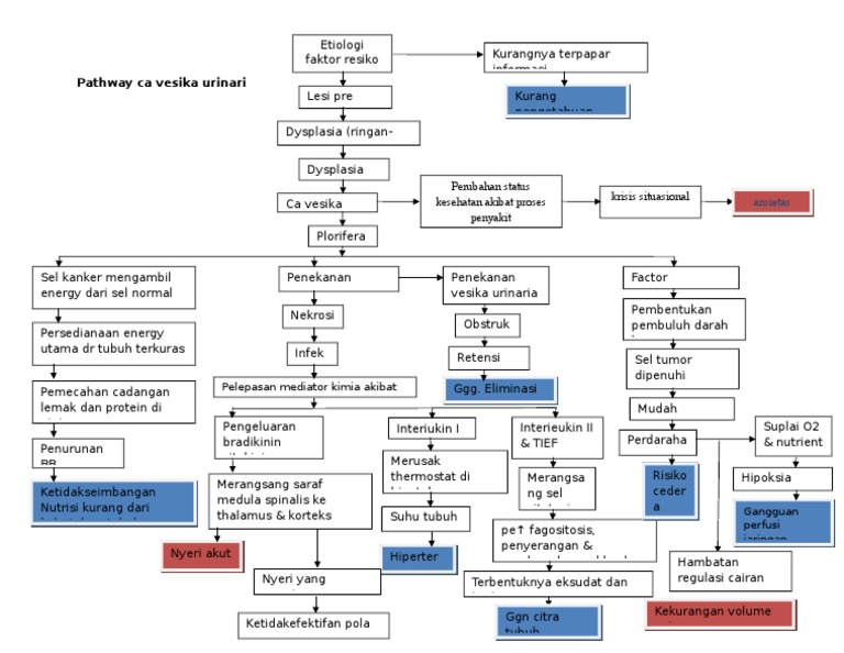 CA Buli Pathway | PDF