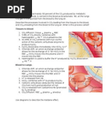 Chloride Shift: Mechanism and Function | PDF